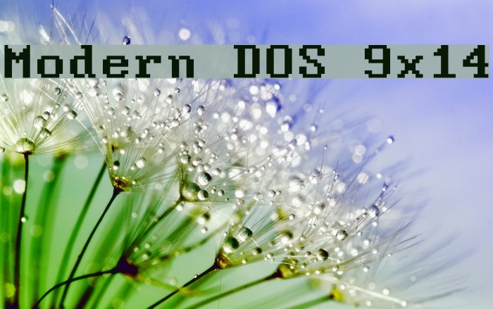 Modern DOS 9x14 Font - FFonts.net
