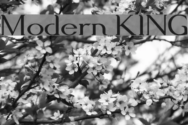 Modern KING Font | Free Download (TTF/OTF) | FFonts.net
