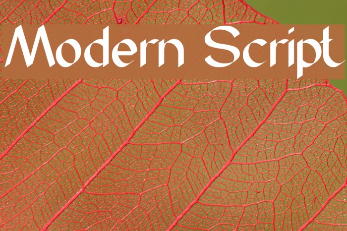 Modern Script Font - FFonts.net