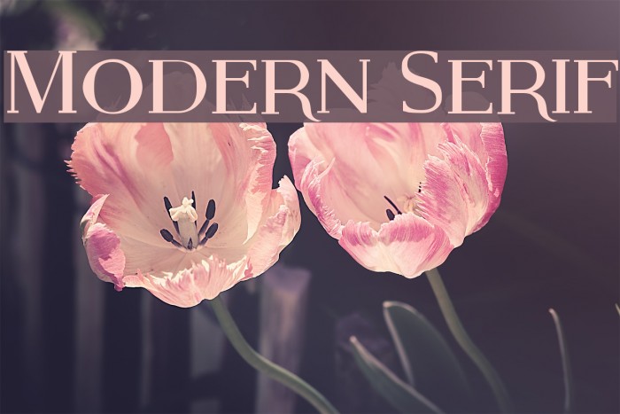 Modern Serif Font - FFonts.net