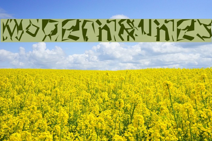 ModernRunes Font - FFonts.net