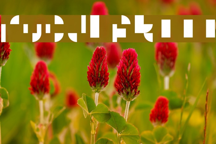 Modular III Font - FFonts.net