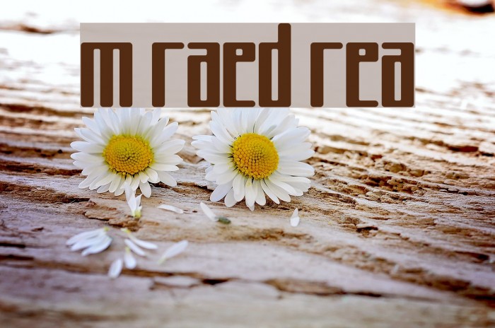 Mojo Raised Regular Font - FFonts.net