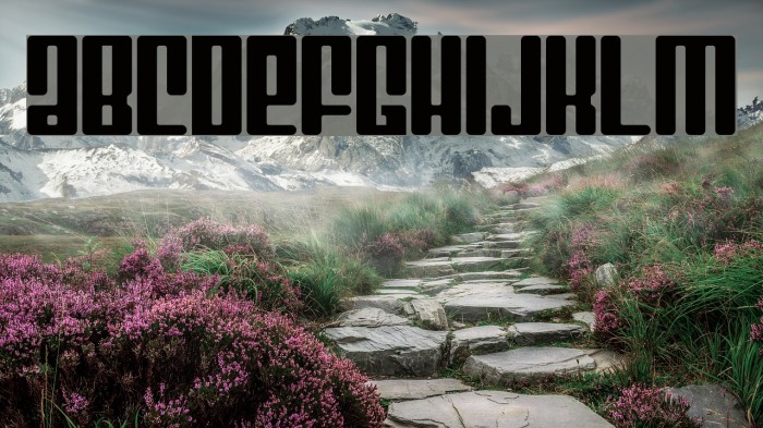 Mojo Regular Font - FFonts.net