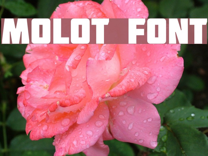 Molot Font - FFonts.net