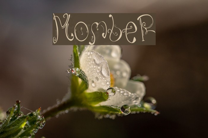 MombeR Font - FFonts.net