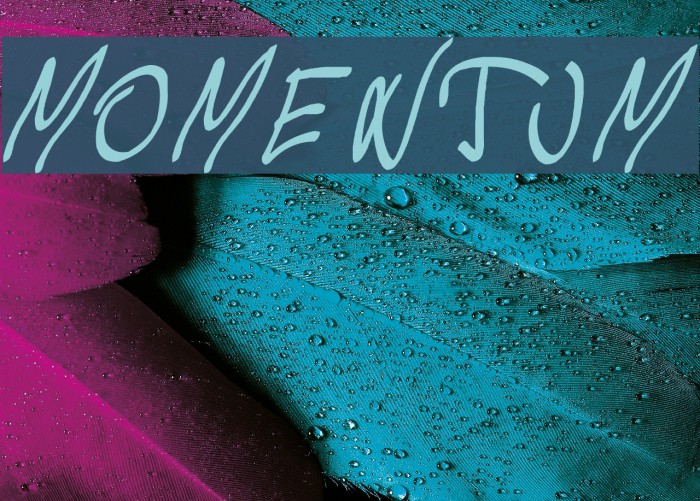 Momentum Font - FFonts.net