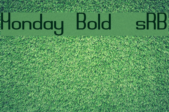 Monday Bold [sRB] Font - FFonts.net