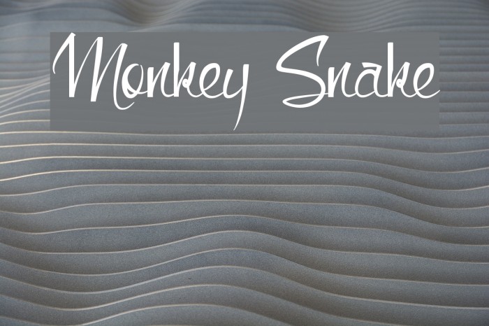 Monkey Snake Font - FFonts.net
