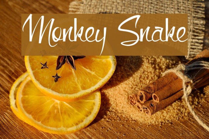 Monkey Snake Font - FFonts.net