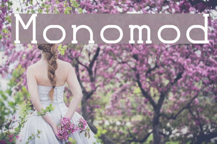 Monomod Font - FFonts.net