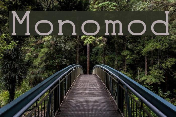 Monomod Font - FFonts.net