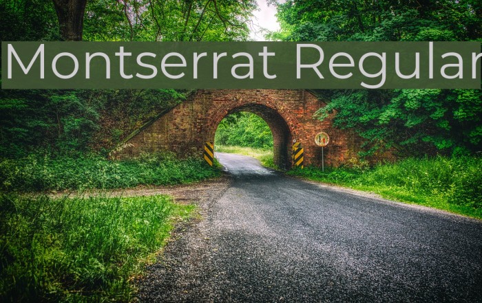 Montserrat Regular Font - FFonts.net