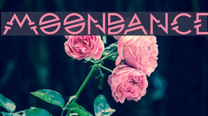 Moondance Font - FFonts.net