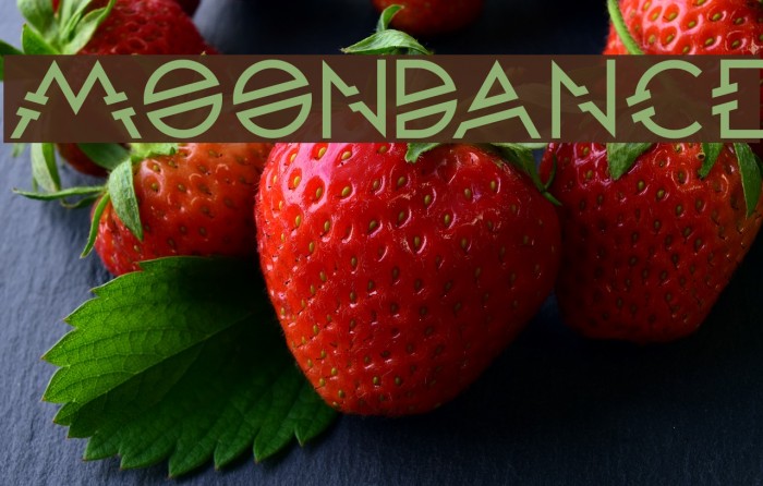 Moondance Font - FFonts.net