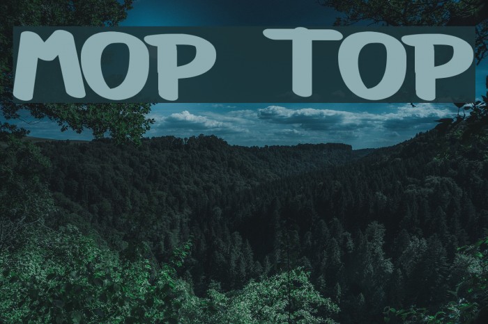 Mop Top Font - FFonts.net