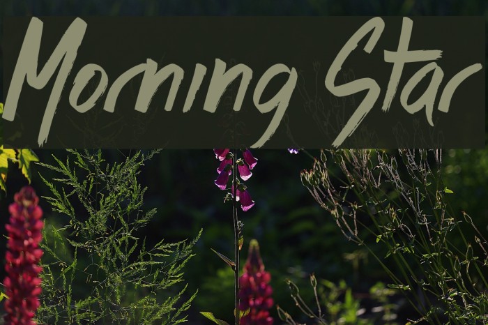 Morning Star Font - FFonts.net
