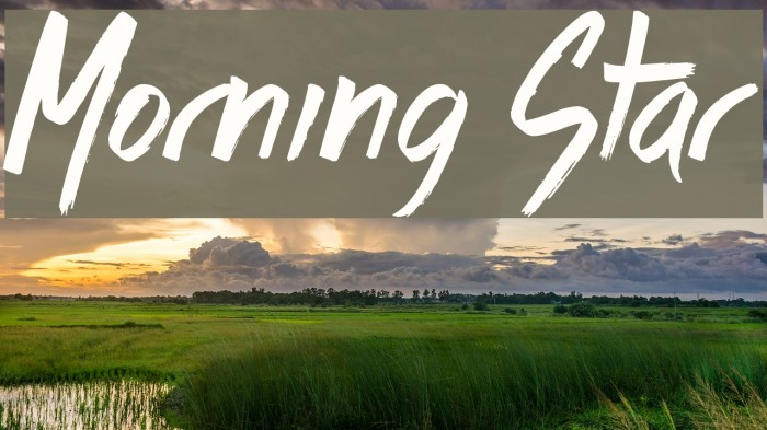 Morning Star Font - FFonts.net