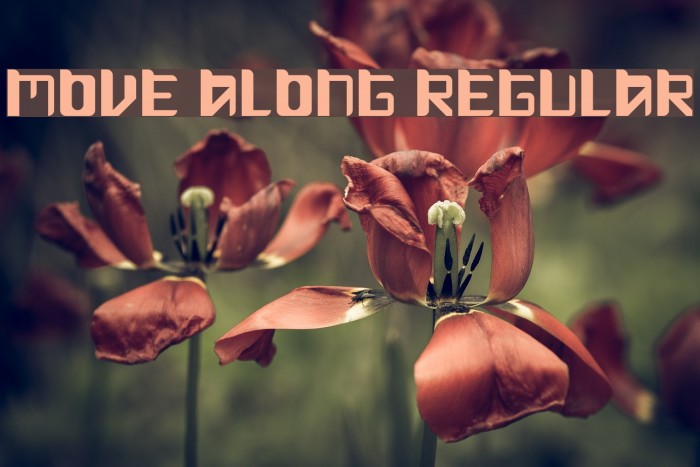 Move Along Regular Font - FFonts.net