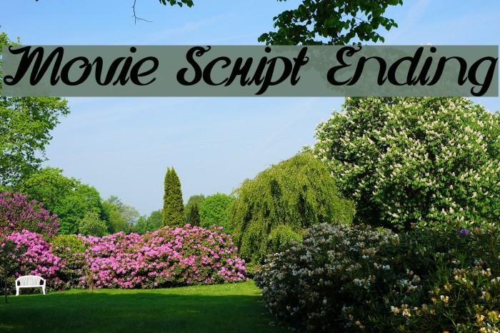 Movie Script Ending Font - FFonts.net