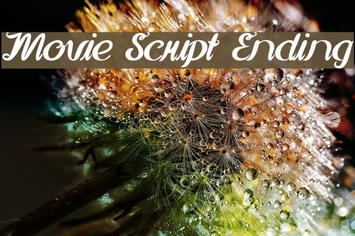 Movie Script Ending Font - FFonts.net