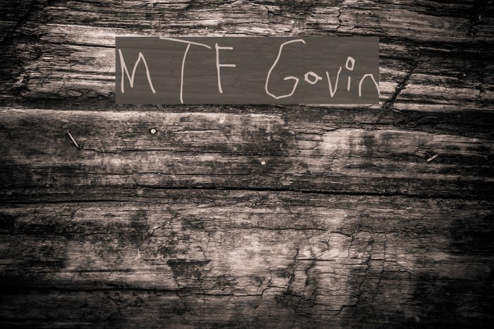 MTF Gavin Font - FFonts.net