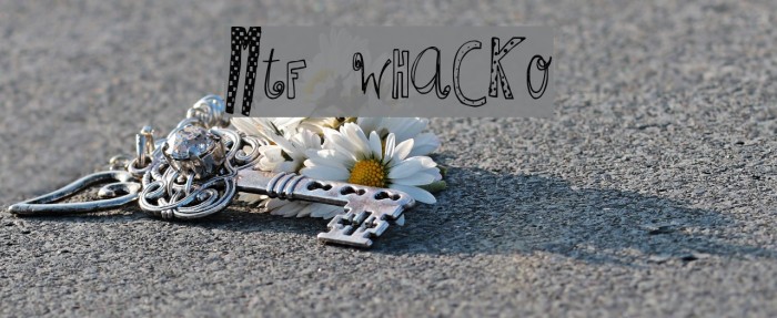 MTF Whacko Font - FFonts.net