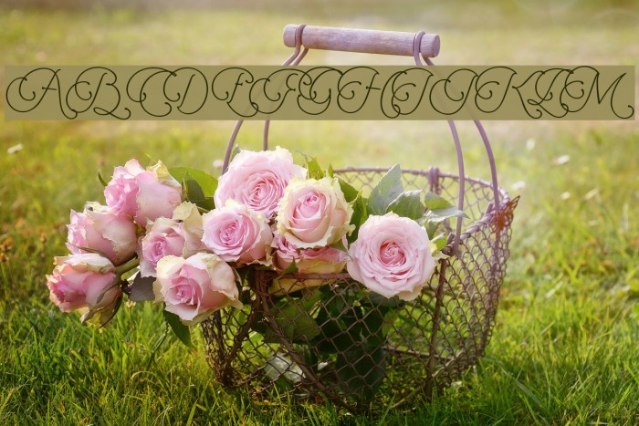 Muhaqu-ScriptPersonalUse Font - FFonts.net