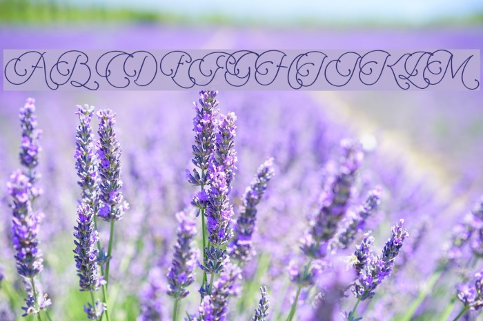 Muhaqu-ScriptPersonalUse Font - FFonts.net