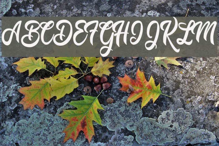 Mustard Personal Use Font - FFonts.net