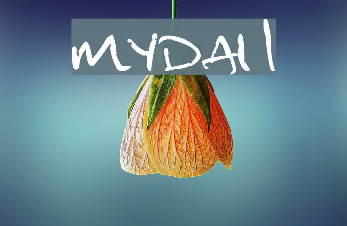 mydai1 Font - FFonts.net