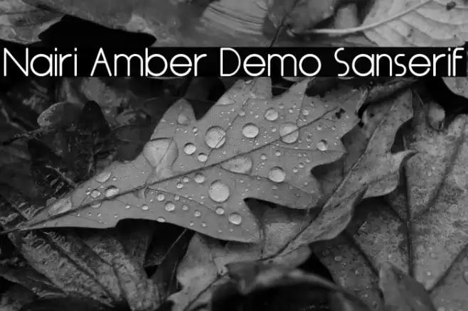 Nairi Amber Demo Sanserif Fuente - FFonts.net