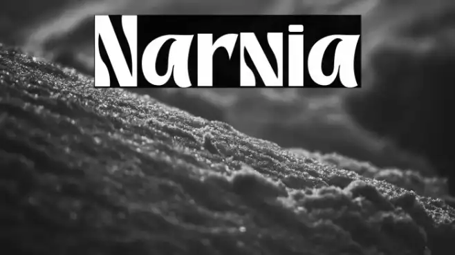 Narnia Font | Free Download (TTF/OTF) | FFonts.net