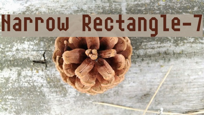Narrow Rectangle-7 Font - FFonts.net