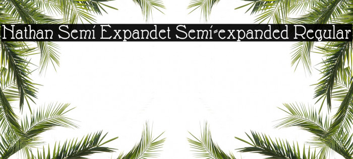 Nathan Semi Expandet Semi-expanded Regular Font - FFonts.net