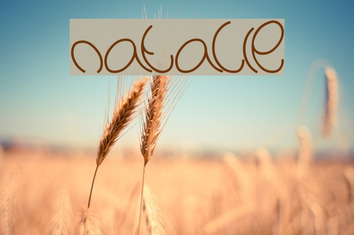 natalie Font - FFonts.net