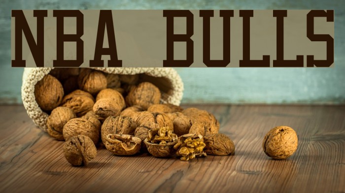 NBA Bulls Font - FFonts.net