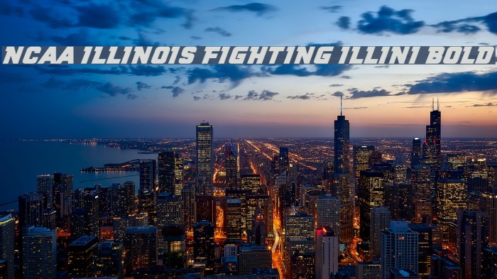 NCAA Illinois Fighting Illini Bold Font - FFonts.net