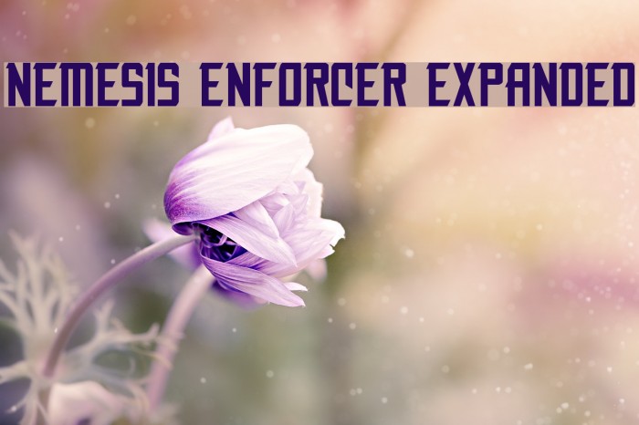 Nemesis Enforcer Expanded Font - FFonts.net