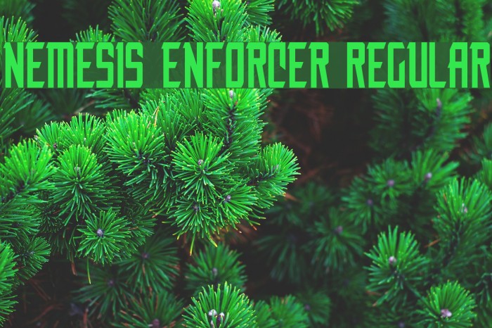 Nemesis Enforcer Regular Font - FFonts.net