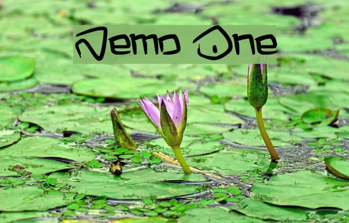 Nemo One Font - FFonts.net