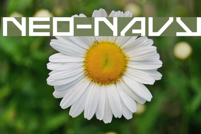 Neo-Navy Font - FFonts.net