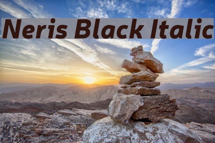 Neris Black Italic Font - FFonts.net