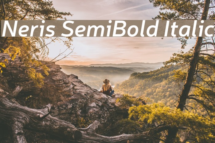 Neris SemiBold Italic Font - FFonts.net