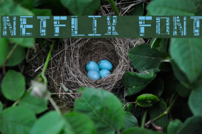 Netflix Font Font - FFonts.net