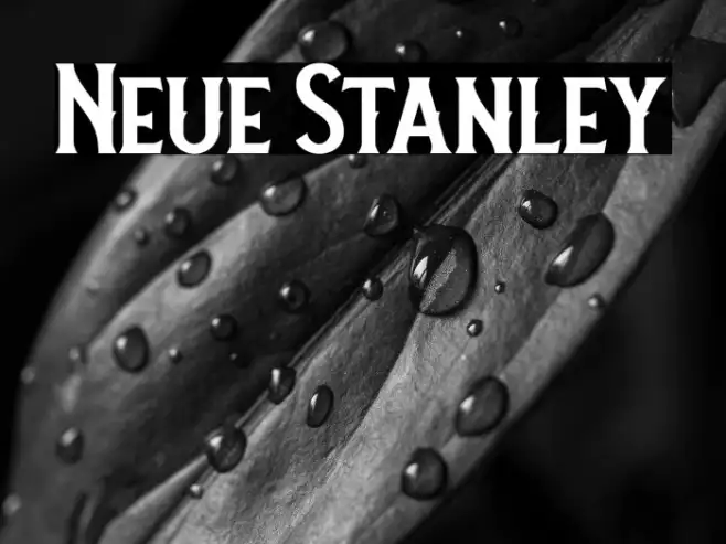 Neue Stanley Font | Free Download (TTF/OTF) | FFonts.net