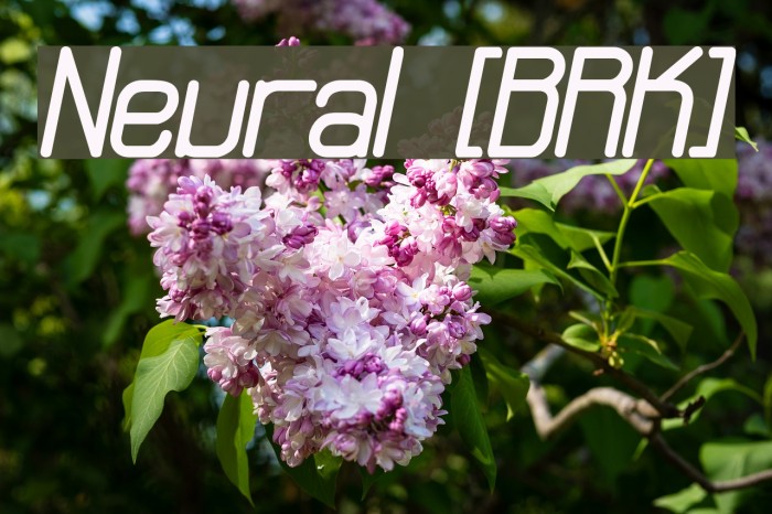 Neural [BRK] Font - FFonts.net