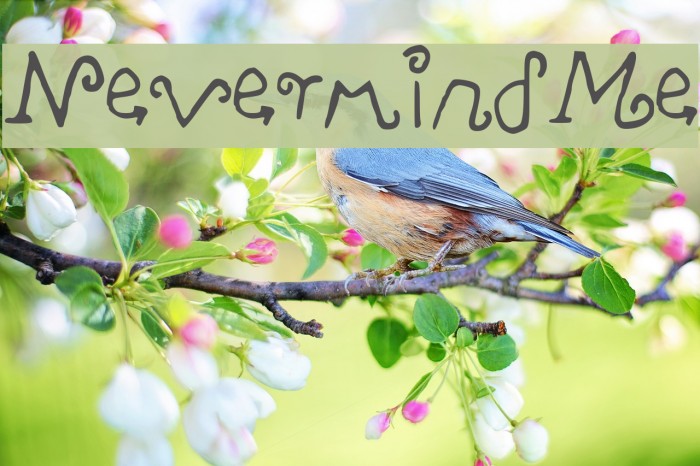 NevermindMe Font - FFonts.net