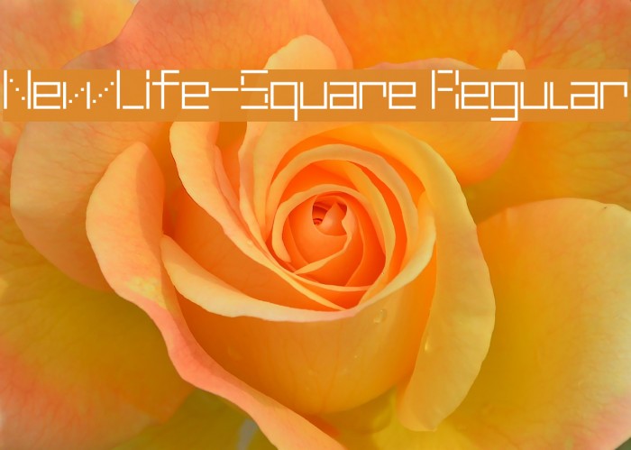 NewLife-Square Regular Font - FFonts.net