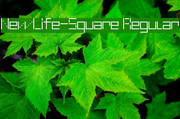 NewLife-Square Regular Font - FFonts.net